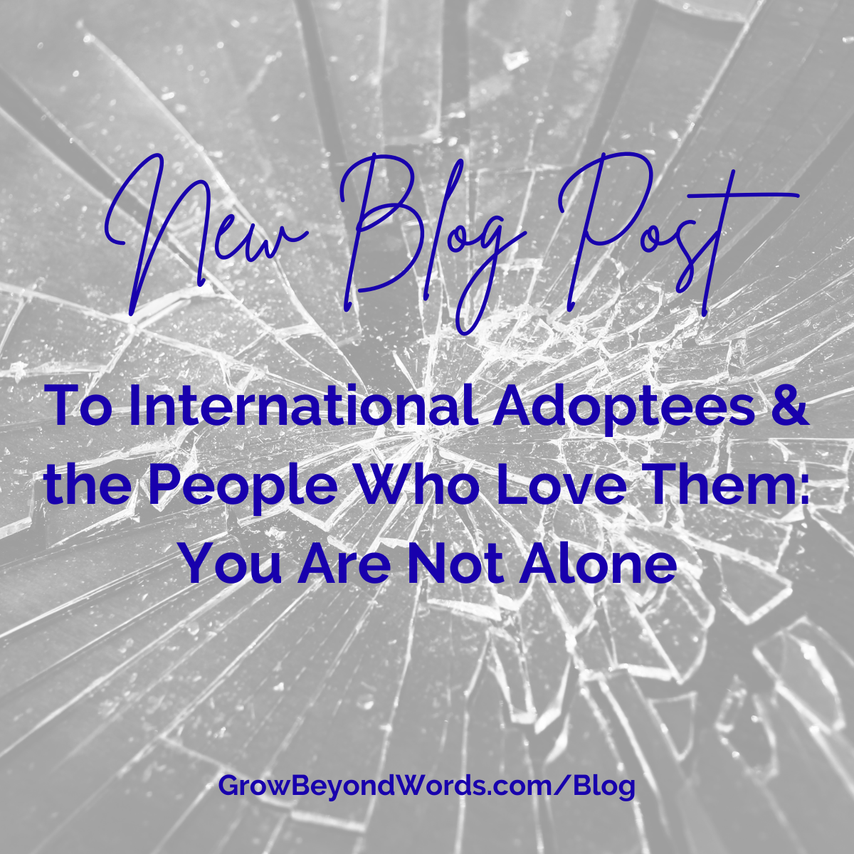 To International Adoptees and the People Who Love Them: You Are Not ...